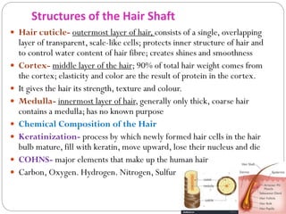 Structure of Hair & Hair Growth by Samanthula.pdf