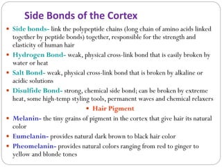 Structure of Hair & Hair Growth by Samanthula.pdf