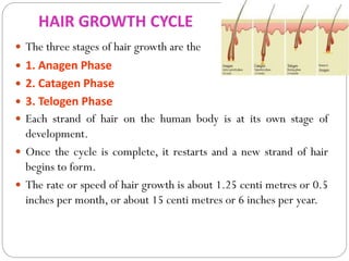 Structure of Hair & Hair Growth by Samanthula.pdf