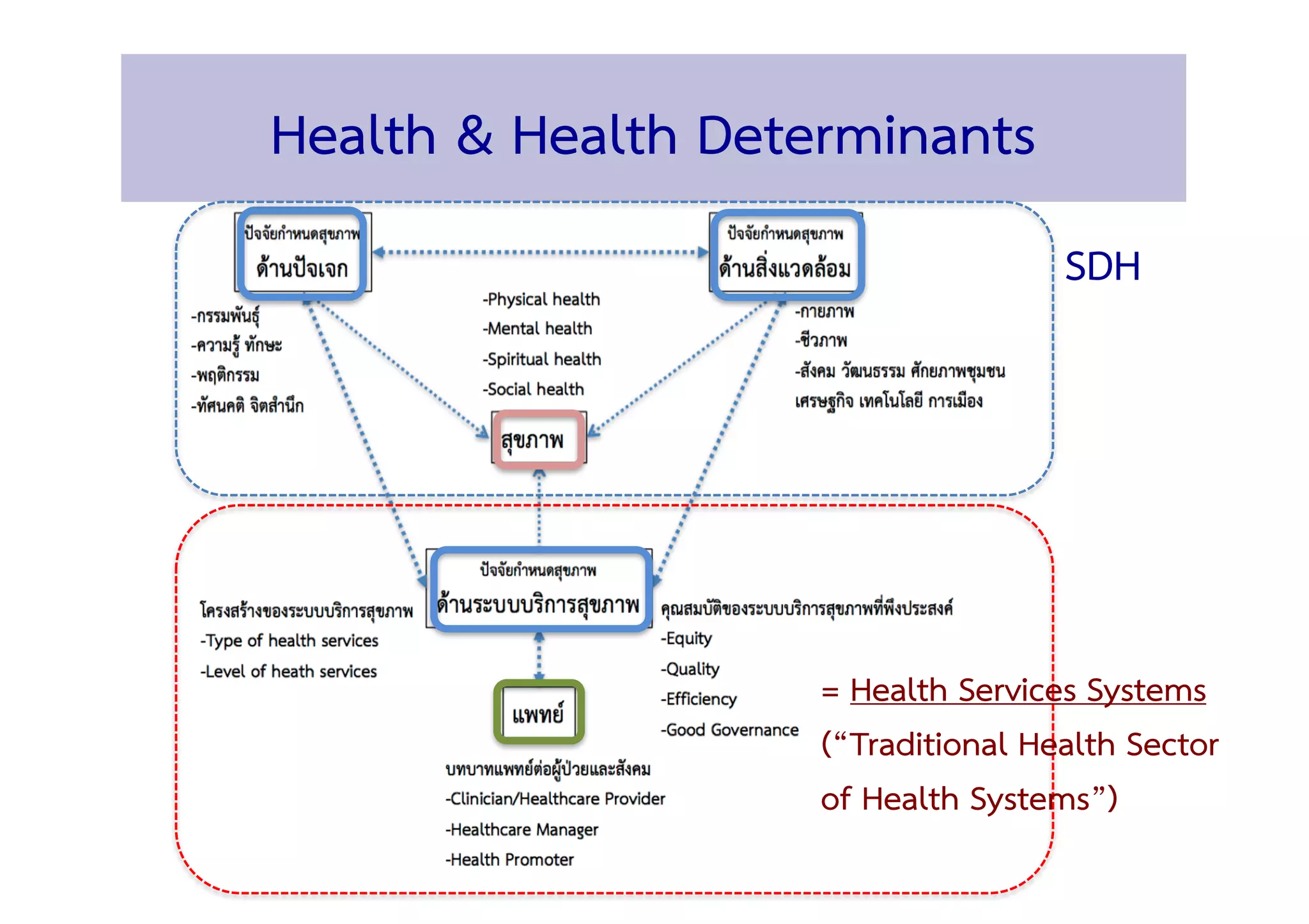 Structure of Health Systems | PDF
