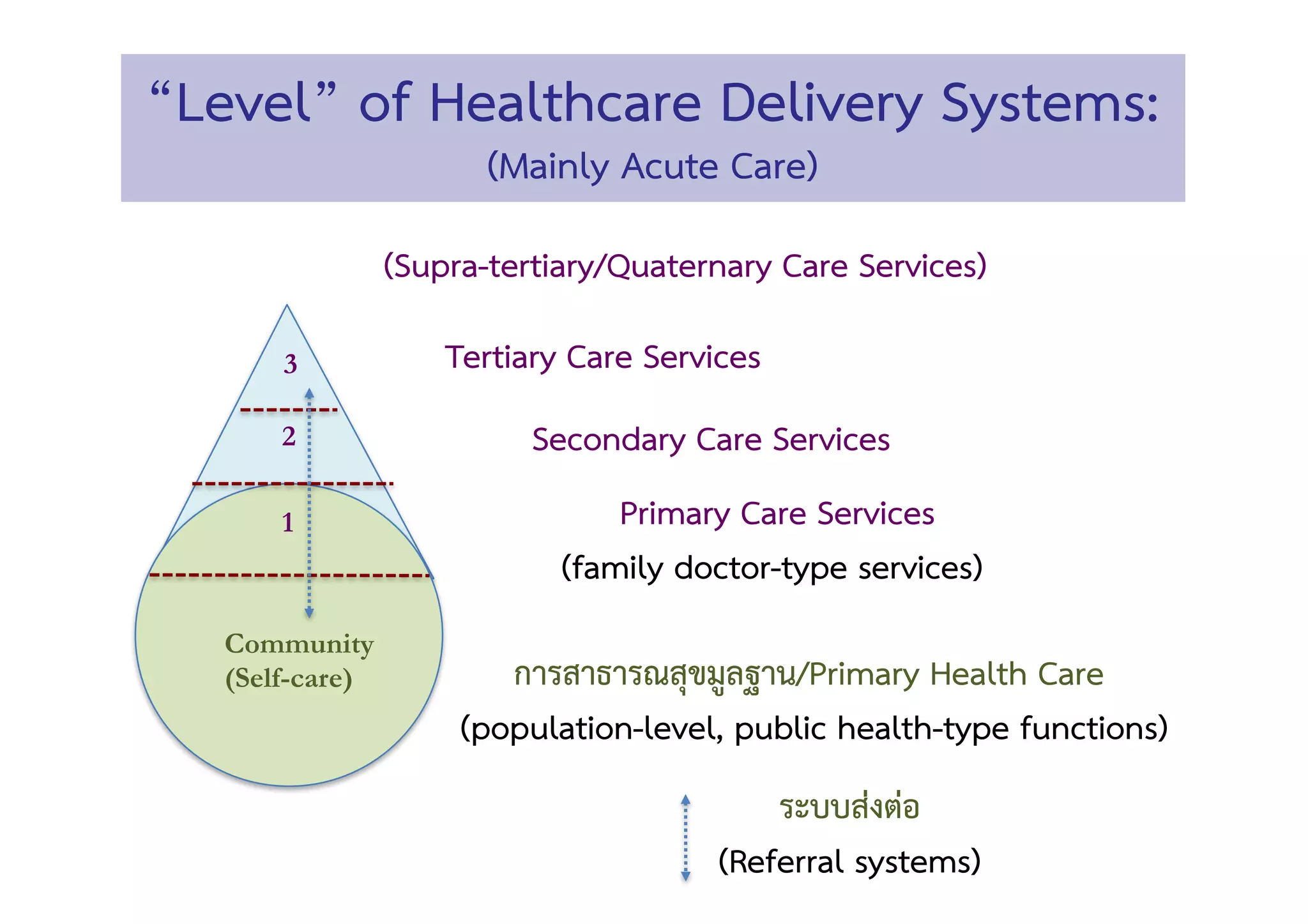 Structure of Health Systems | PDF
