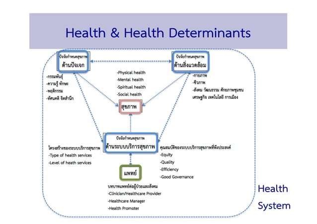 Structure of Health Systems | PDF