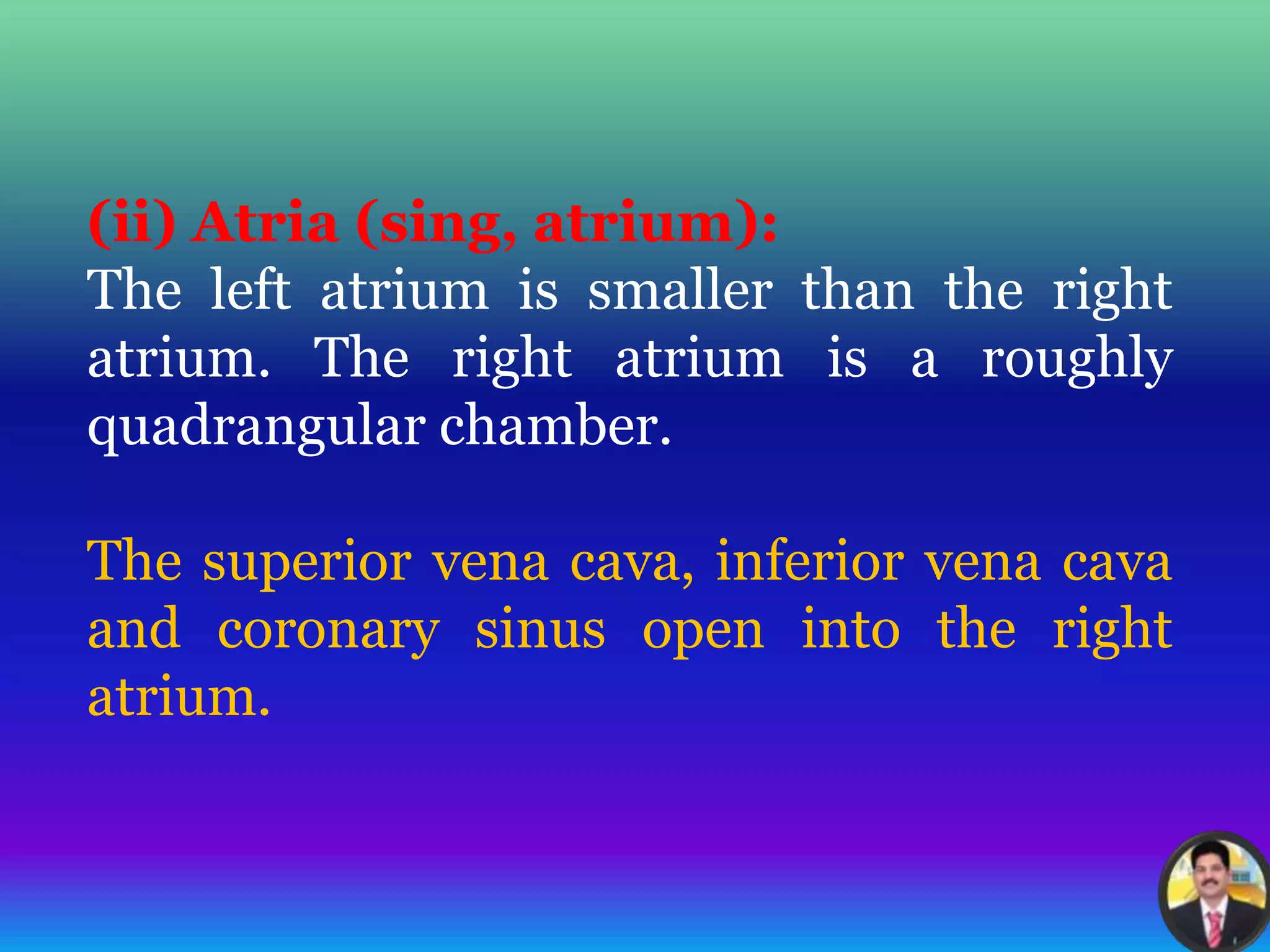 Structure and Function of Human heart | PPTX