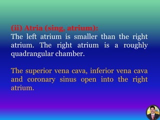 Structure and Function of Human heart | PPTX