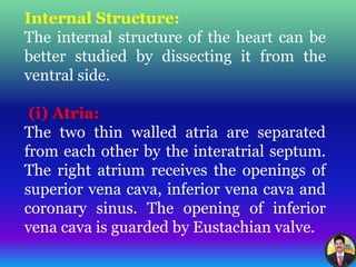 Structure and Function of Human heart | PPTX