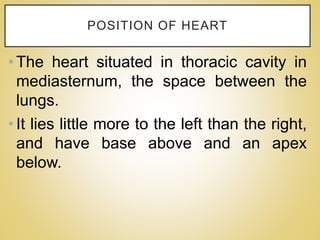Structure of heart | PPTX | Heart and Cardiovascular Diseases ...