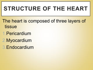 Structure of heart | PPTX