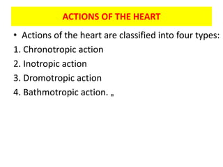 Cardiovascular system | PPT