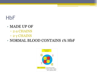 Structure of Hemoglobin | PPTX