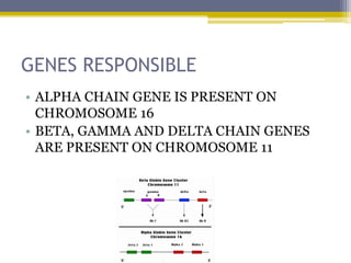 Structure of Hemoglobin | PPTX