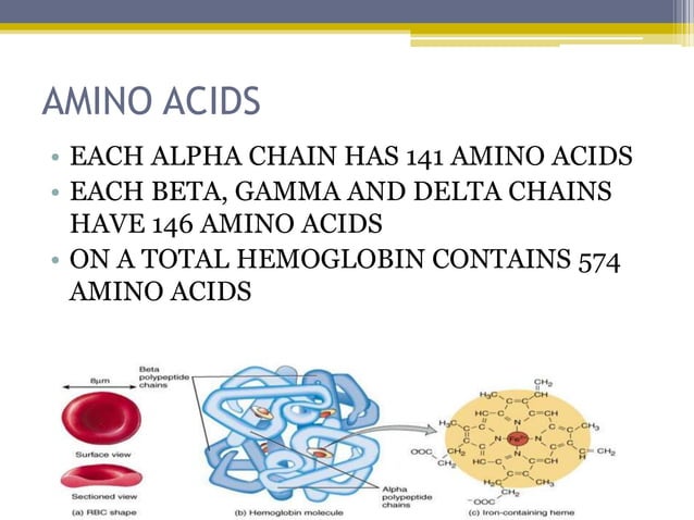 Structure of Hemoglobin | PPTX