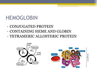 Structure of Hemoglobin | PPTX