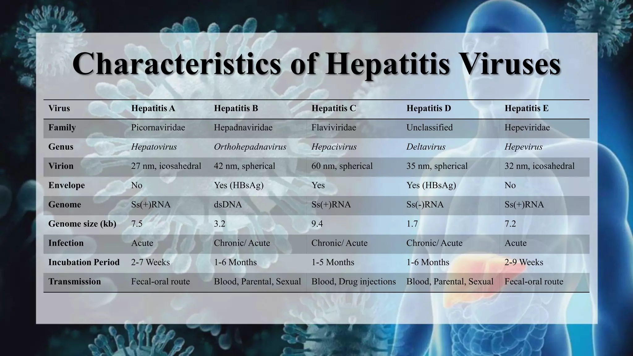 Structure of Hepatitis | PPTX
