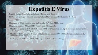 Structure of Hepatitis | PPTX