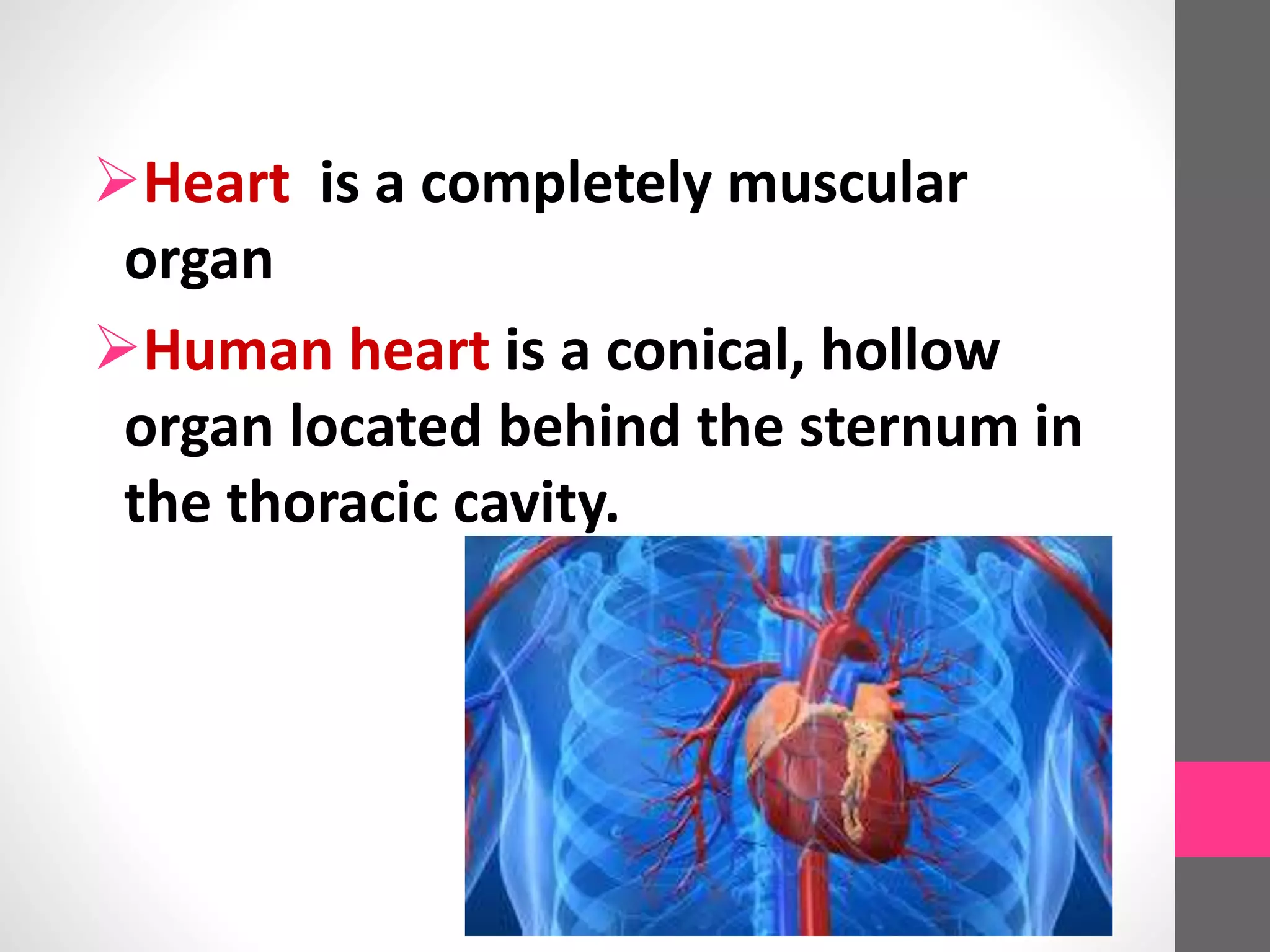 Structure of human heart | PPTX