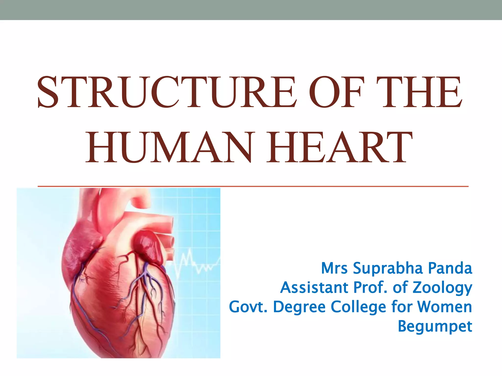 Structure of human heart | PPTX