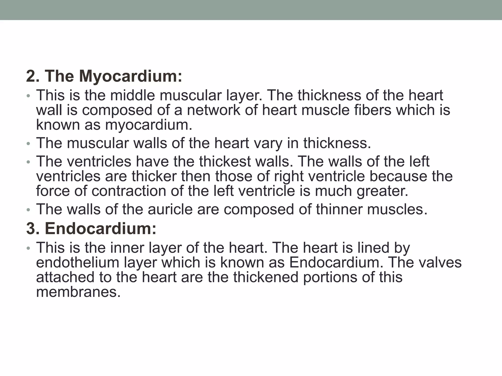Structure of human heart | PPTX