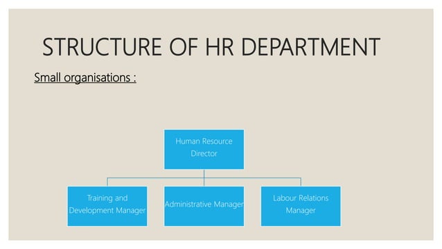 Structure of human resource department | PPTX