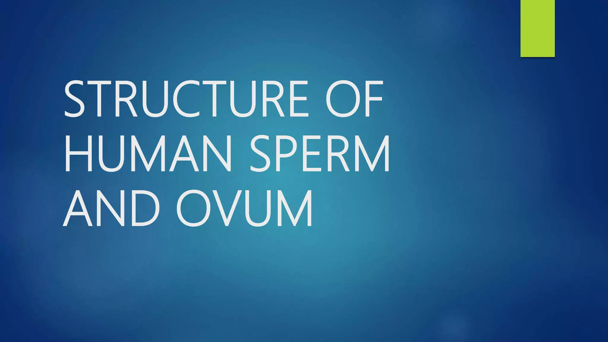 Structure of human sperm and ovum | PPTX