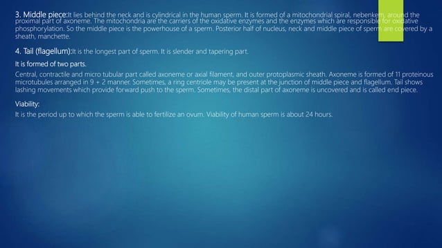 Structure of human sperm and ovum | PPTX | Infertility | Reproductive ...