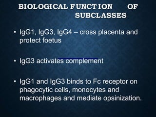 Structure of Igs.pptx biotechnology class | PPT