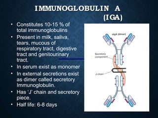 Structure of Igs.pptx biotechnology class | PPT