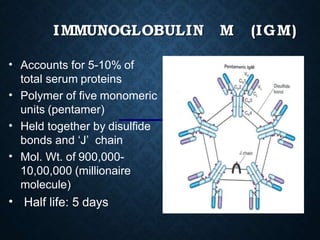 Structure of Igs.pptx biotechnology class | PPT
