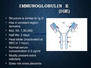 Structure of Igs.pptx biotechnology class | PPT
