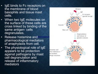 Structure of Igs.pptx biotechnology class | PPT