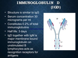 Structure of Igs.pptx biotechnology class | PPT