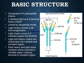 Structure of Igs.pptx biotechnology class | PPT