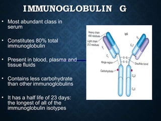 Structure of Igs.pptx biotechnology class | PPT