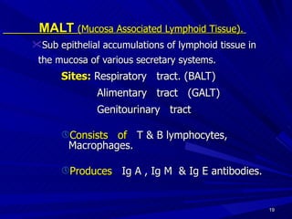Structure of immune system mbbs | PPT