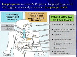 Structure of immune system mbbs | PPT