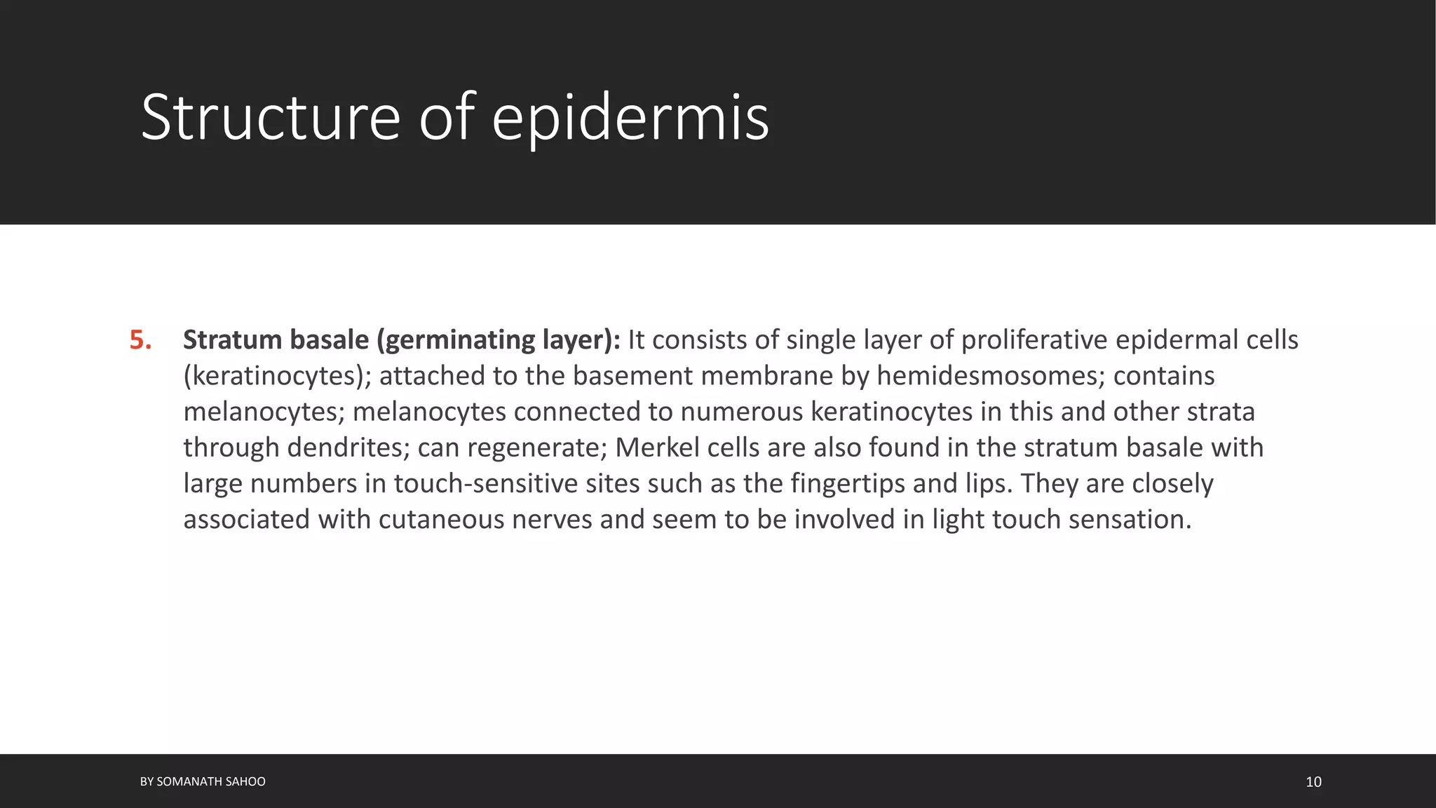 Structure of integument | PPTX