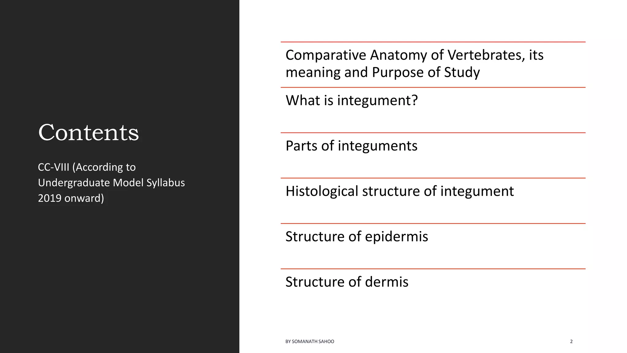 Structure of integument | PPTX