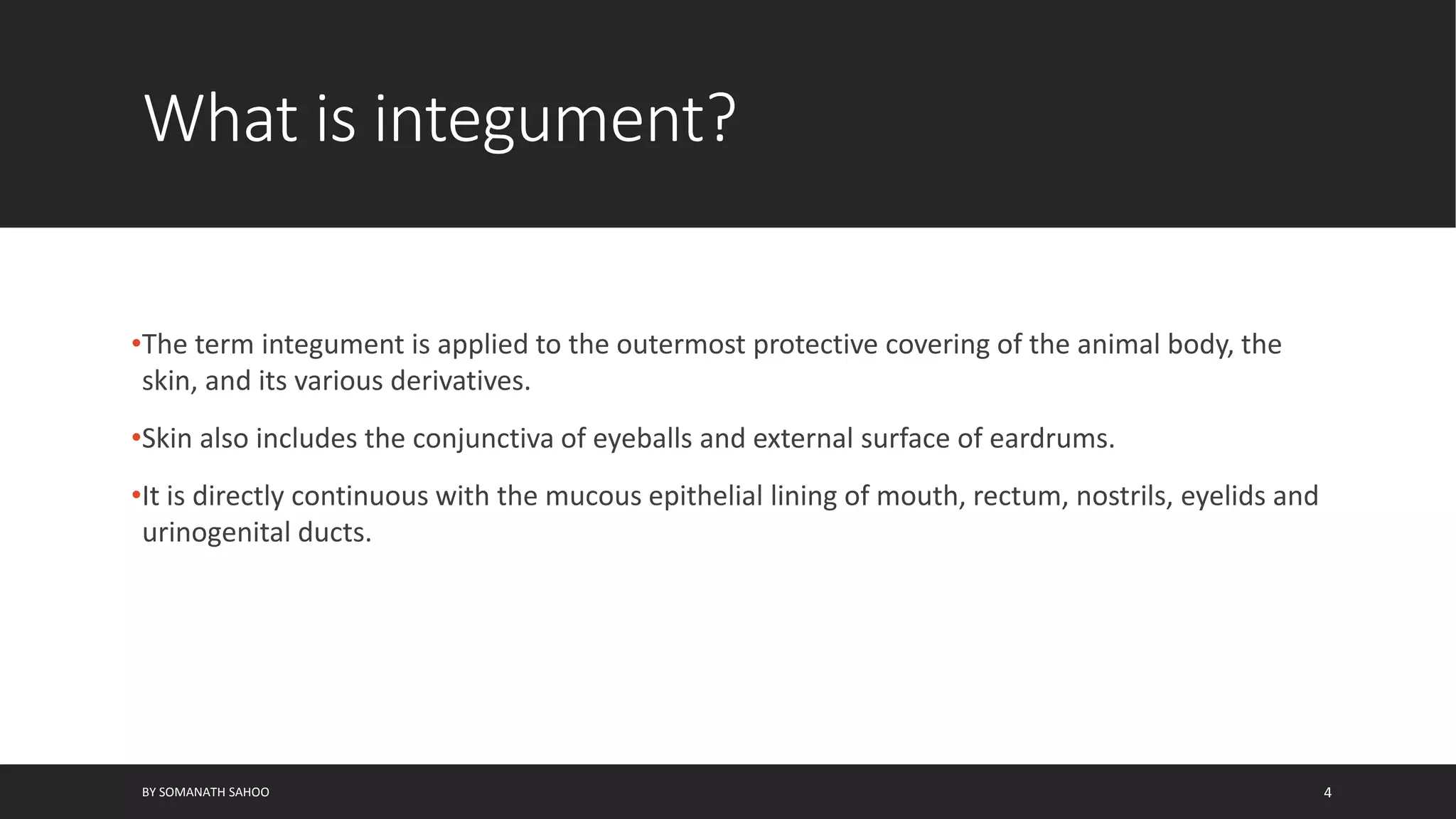 Structure of integument | PPTX