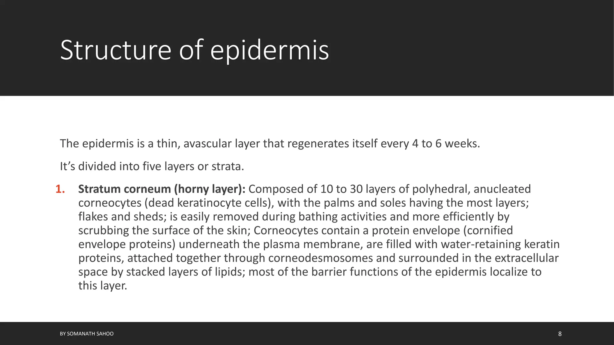 Structure of integument | PPTX