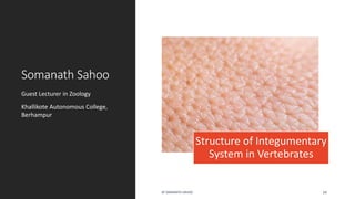 Structure of integument | PPTX
