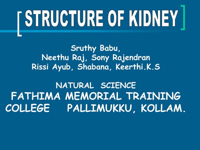 Structure of kidney | PPTX