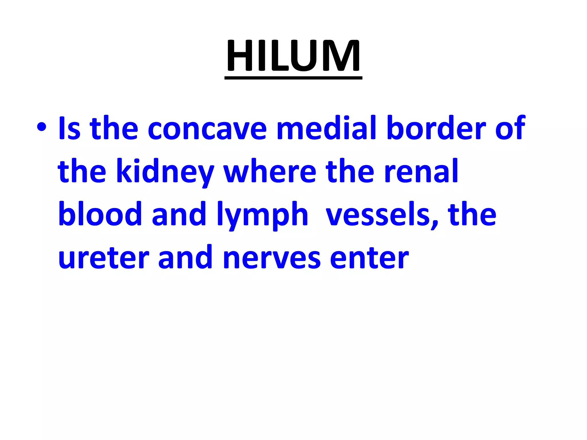 STRUCTURE OF HUMAN KIDNEY | PPTX