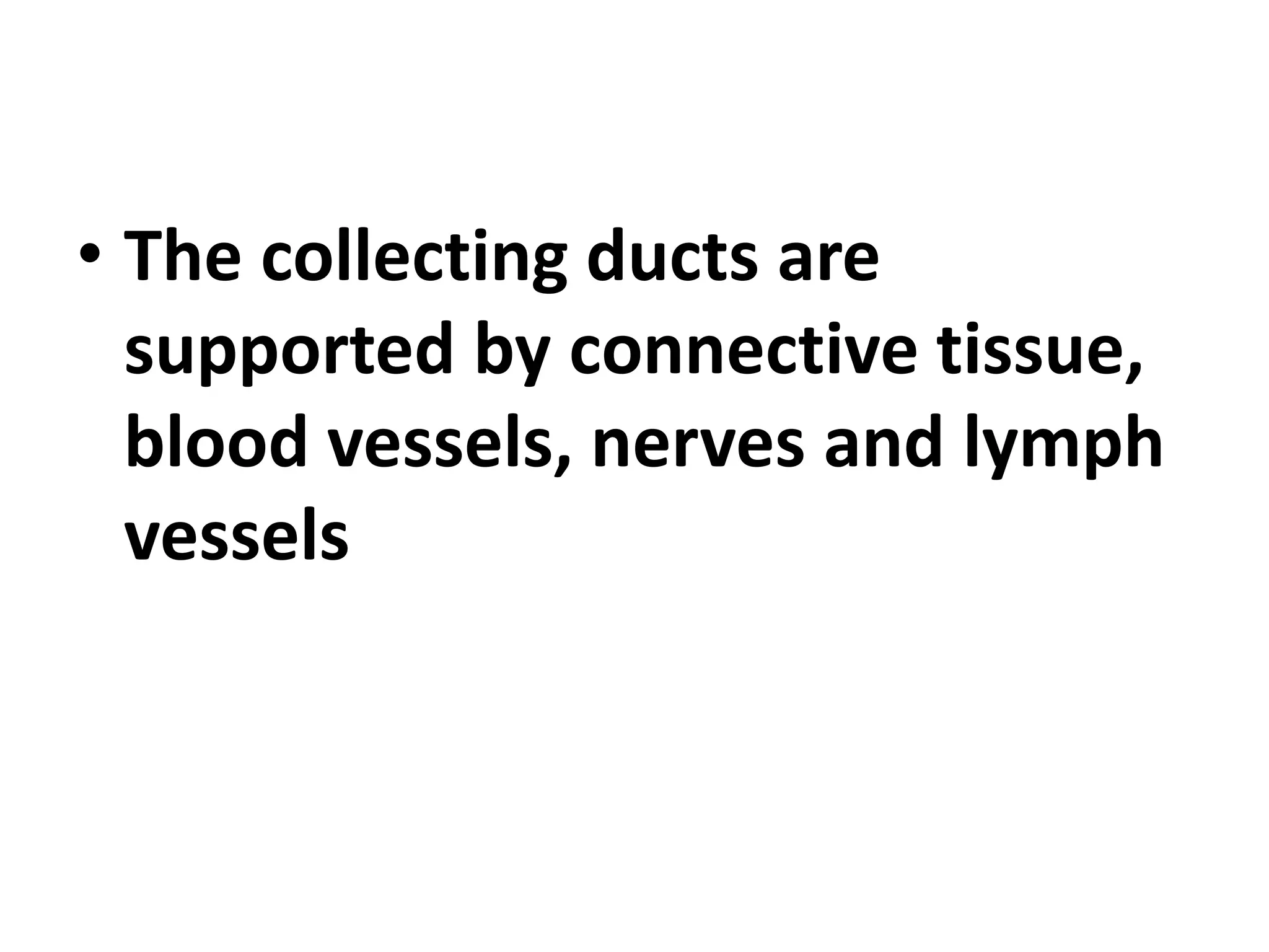 STRUCTURE OF HUMAN KIDNEY | PPTX