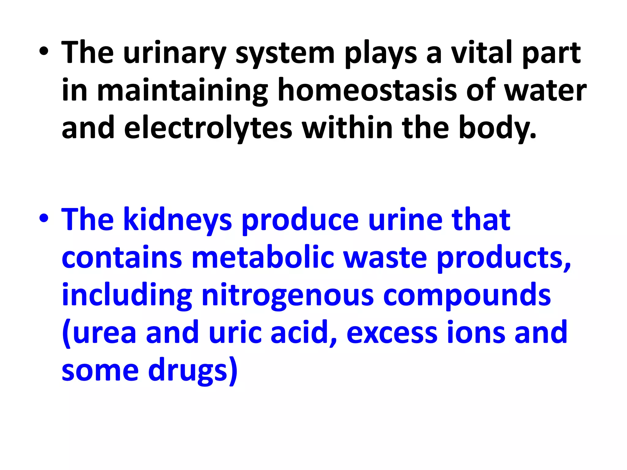 STRUCTURE OF HUMAN KIDNEY | PPTX