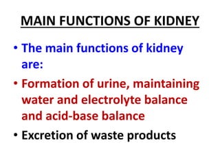 STRUCTURE OF HUMAN KIDNEY | PPTX