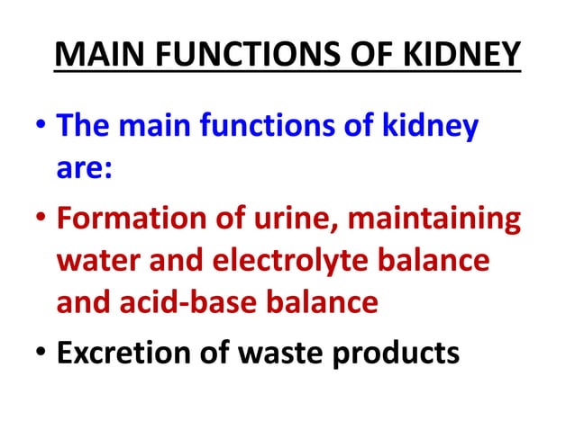 STRUCTURE OF HUMAN KIDNEY | PPTX | Endocrine and Metabolic Diseases ...