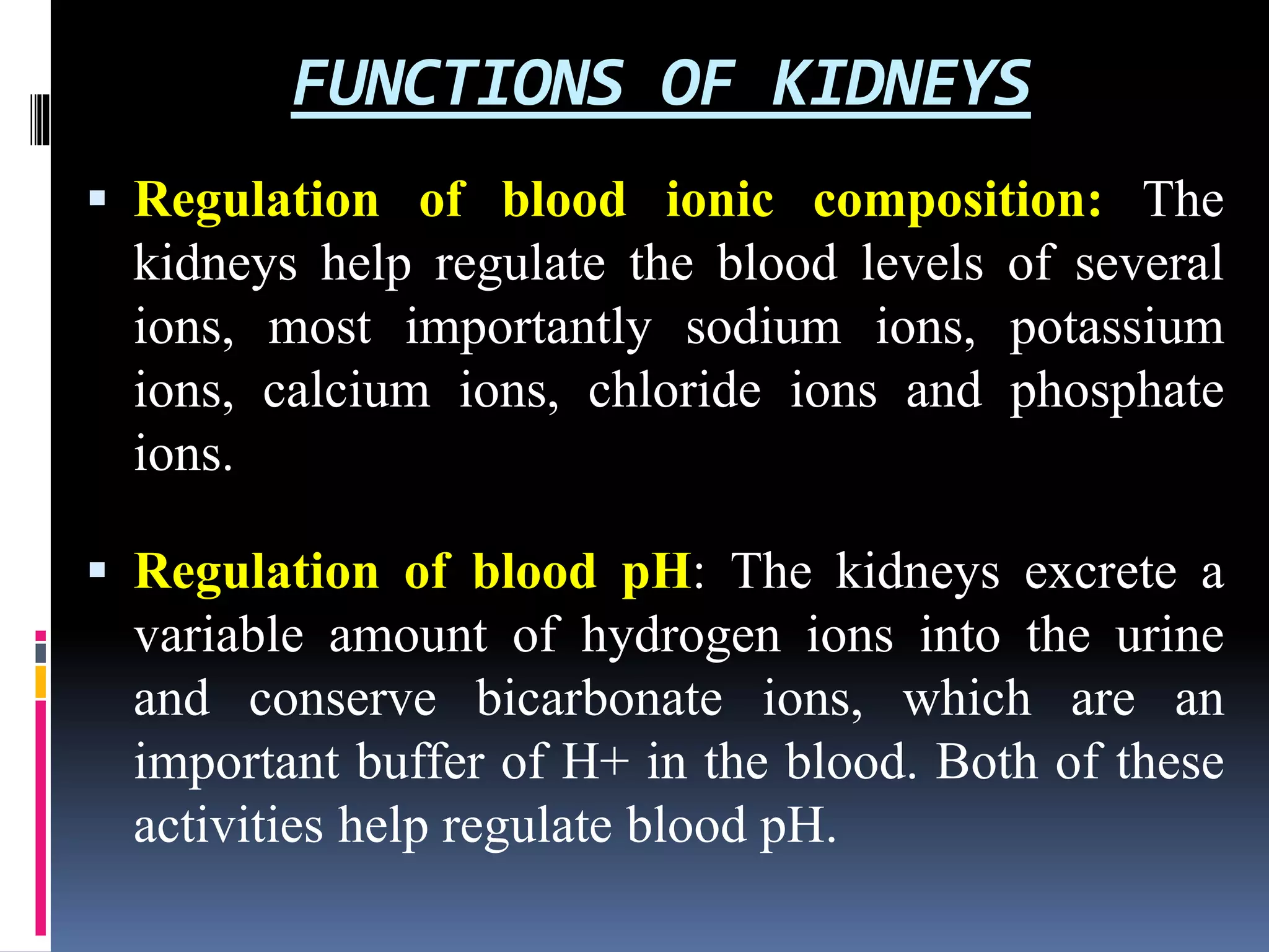 structure of kidney.pdf