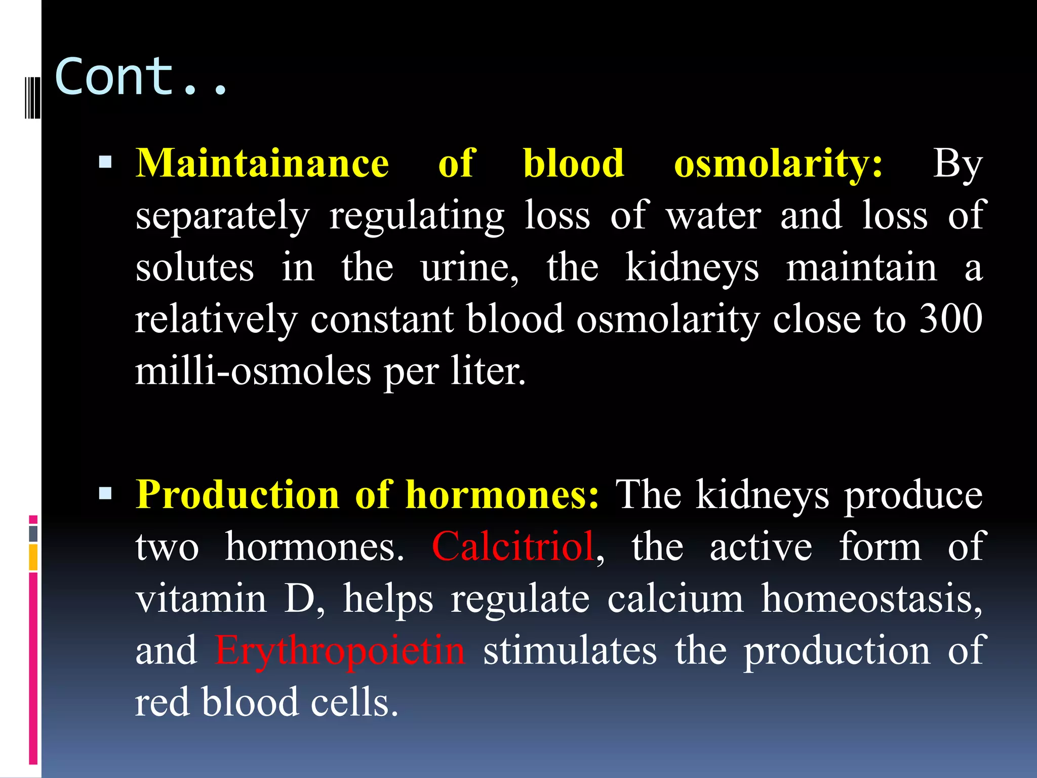 structure of kidney.pdf