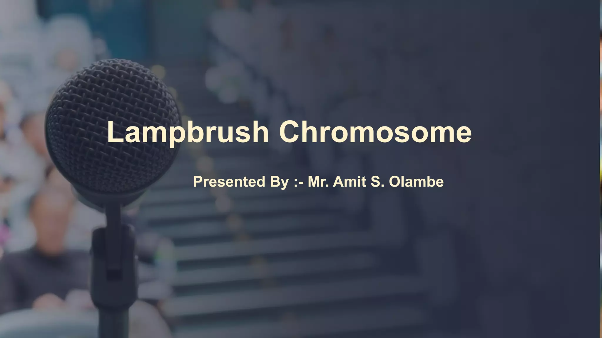 Structure of Lampbrush Chromosome.pptx