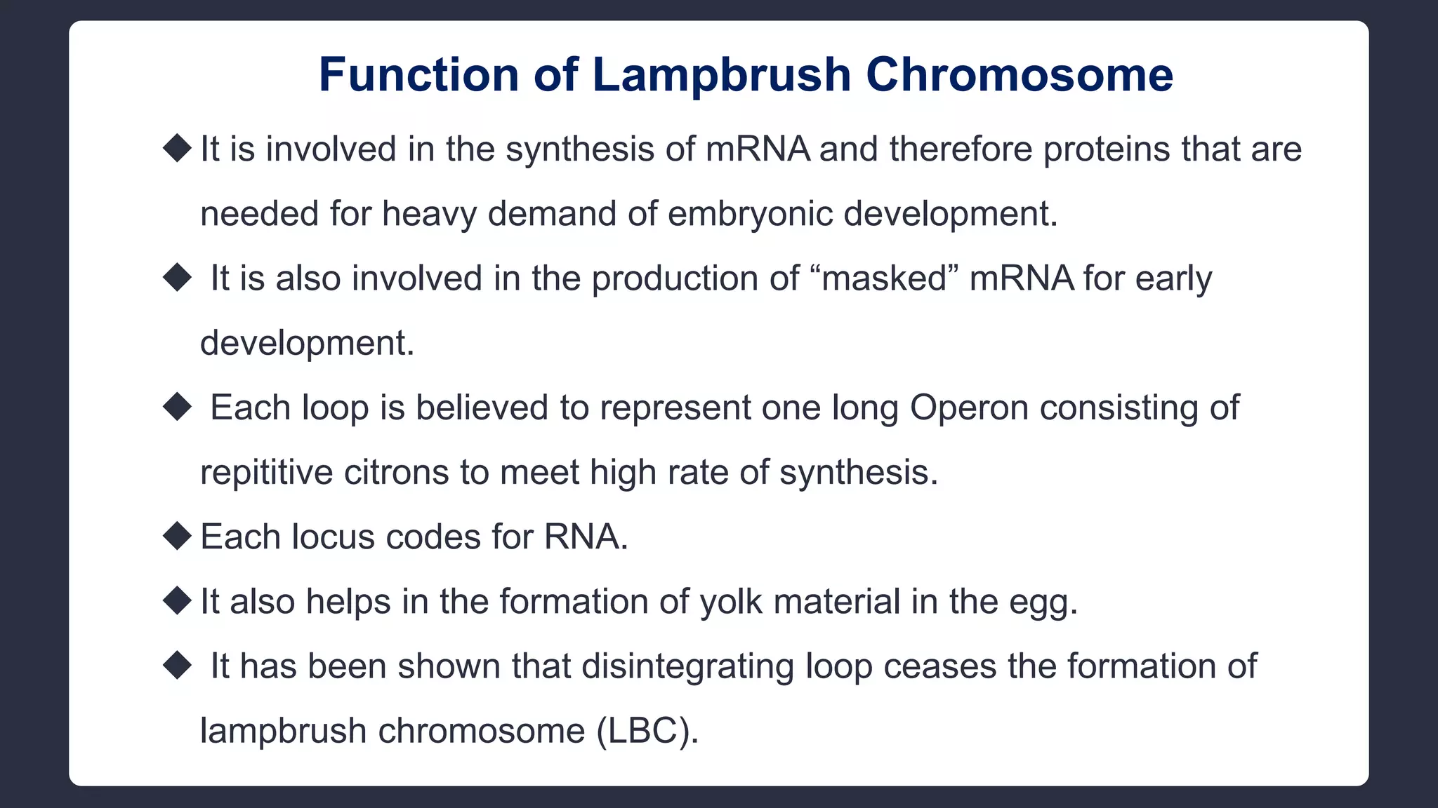 Structure of Lampbrush Chromosome.pptx
