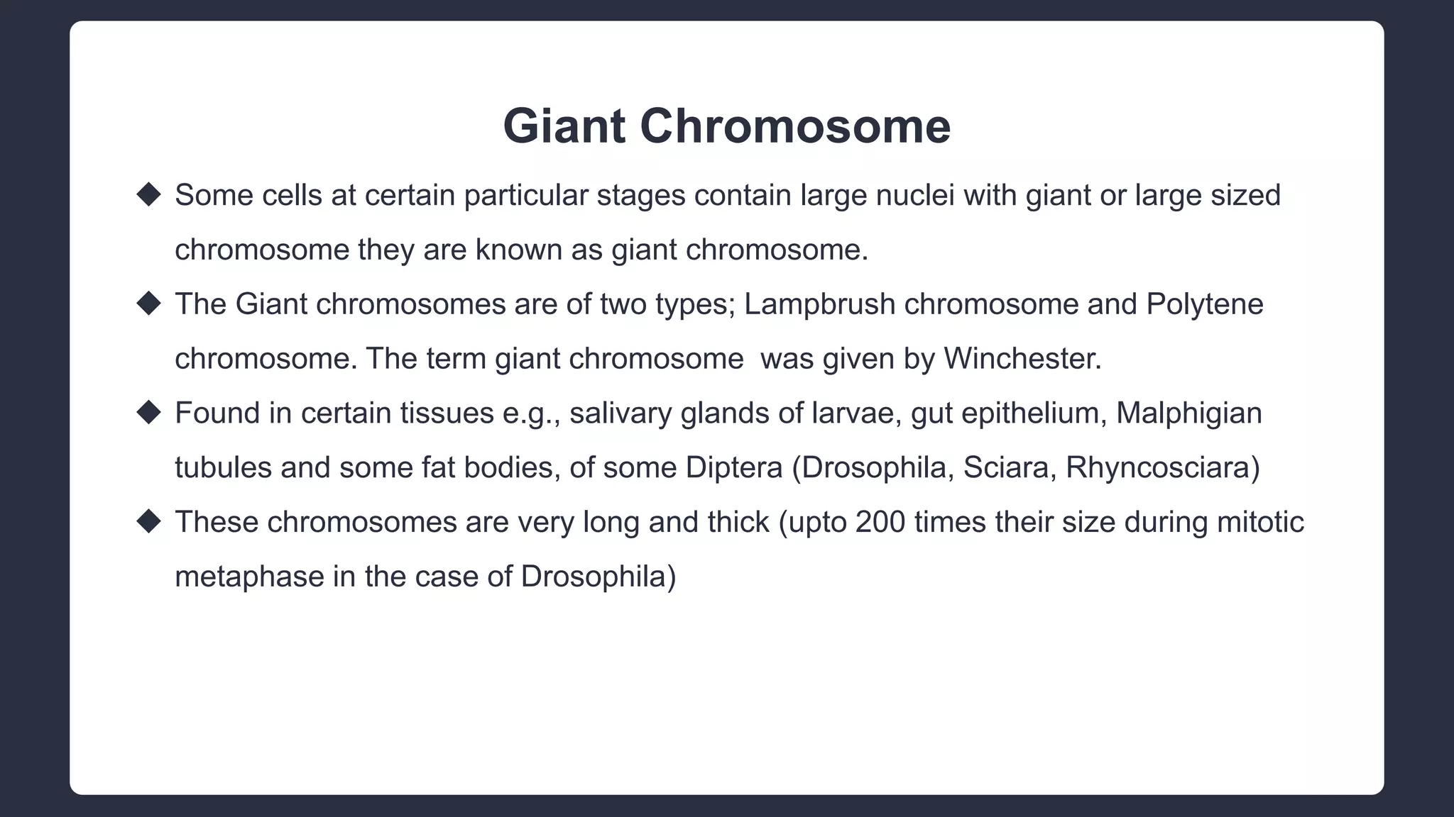 Structure of Lampbrush Chromosome.pptx